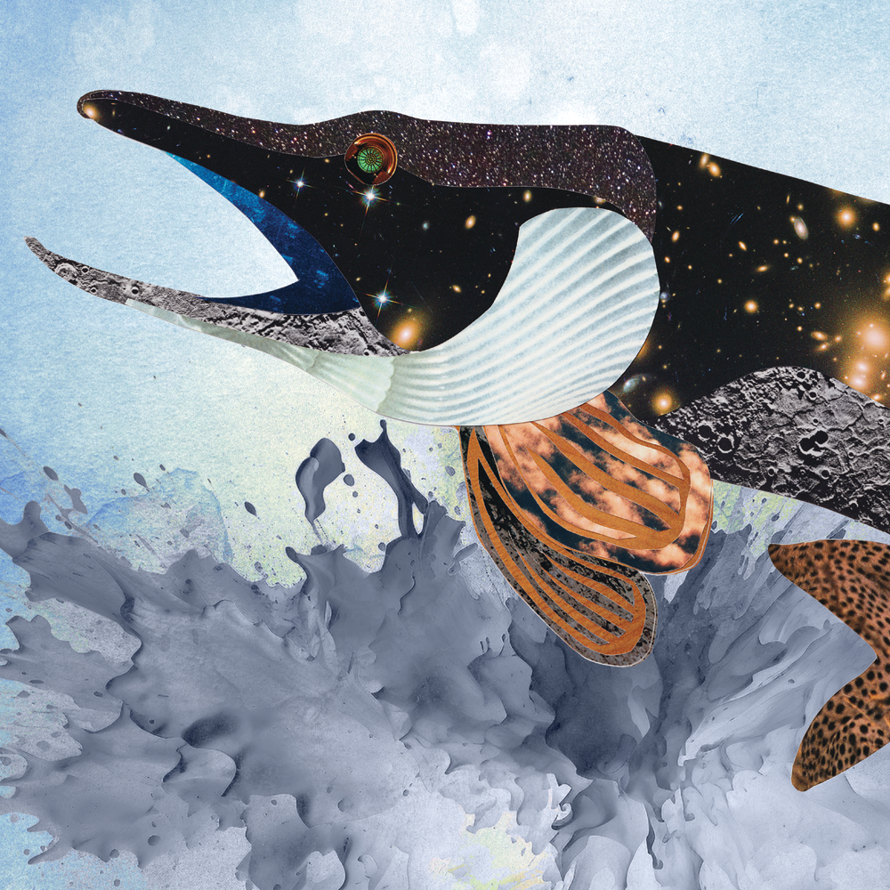 Blue Pike – Retrographica